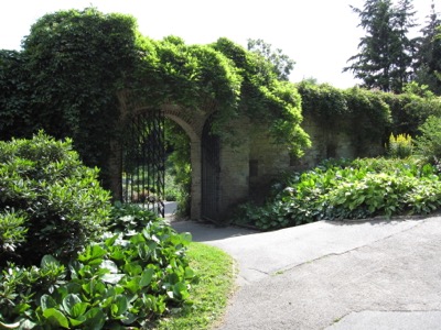 Prague's Hunger Wall, Impressive Story and Sight